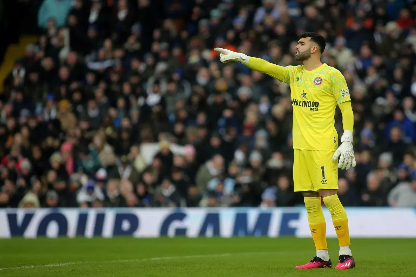 Arsenal target £40m valued Brentford goalie David Raya